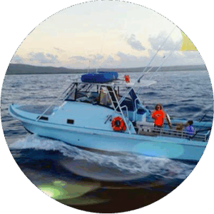 Recreational Fishing | Explore Outdoor Hawaiʻi | DLNR